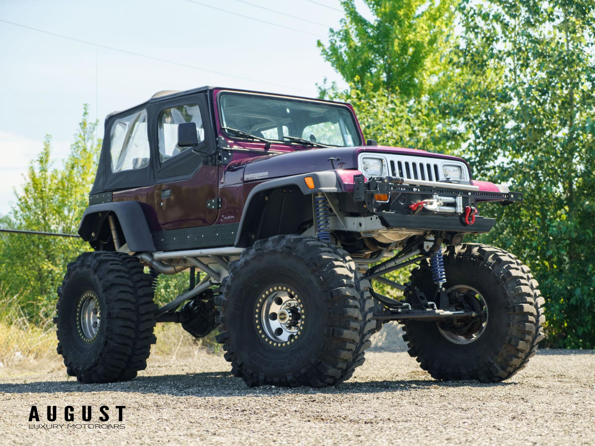 Used 1988 JEEP YJ Custom Rock Climber For Sale (Sold) | August Luxury ...